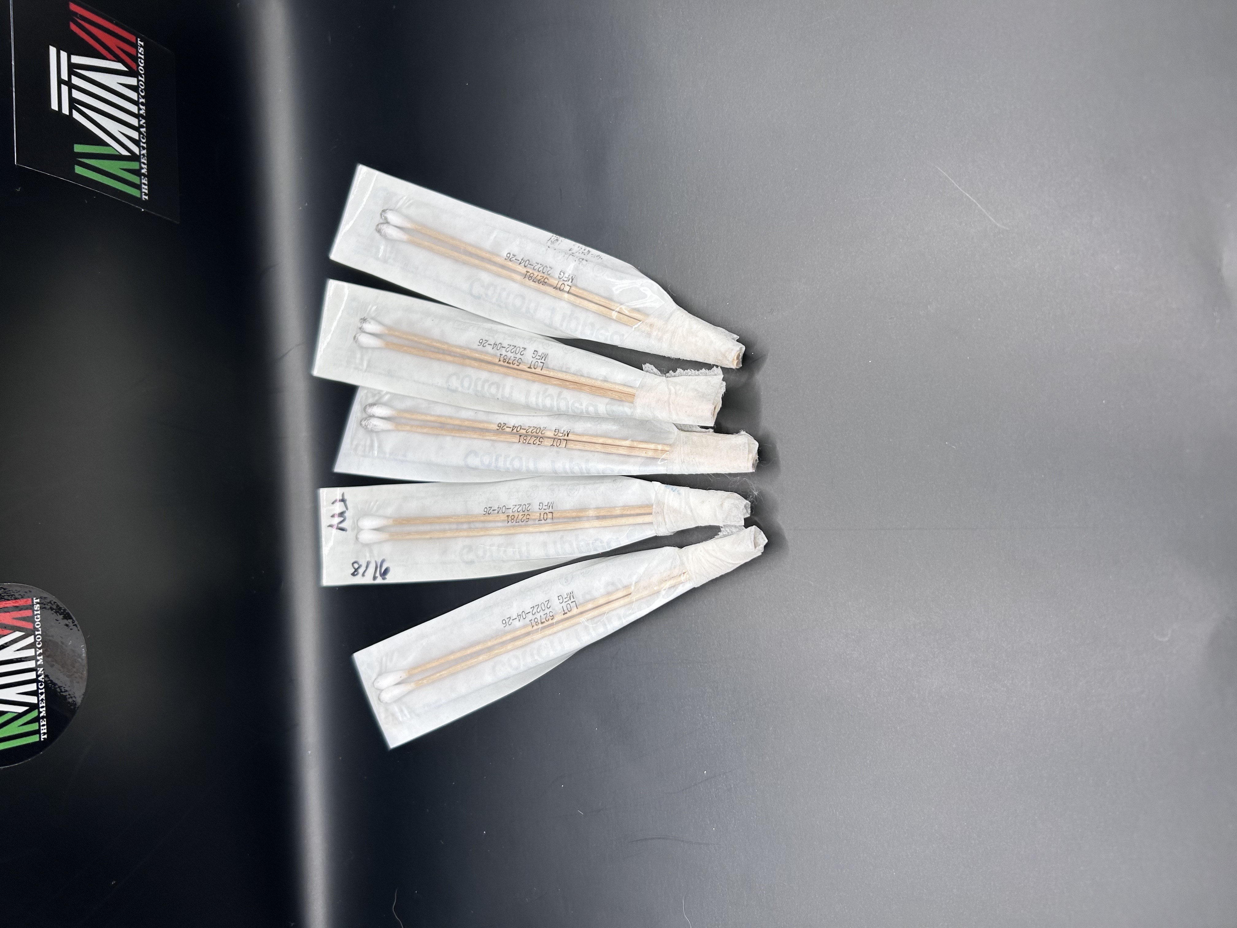 Mushroom Spore Swab — The Mexican Mycologist